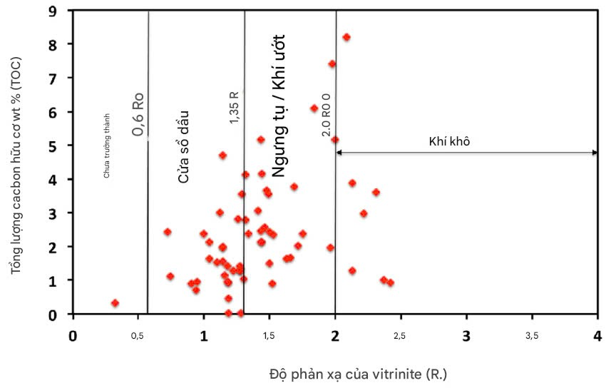 Phản xạ Vitrinite, một cửa sổ vào quá khứ - NGUYỄN QUANG HƯNG BLOG